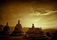 12 principes de sagesse qui transformeront votre vie