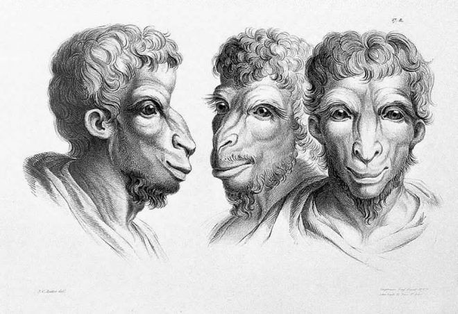 Voici à quoi ressembleraient les humains s'ils avaient évolué à partir ...