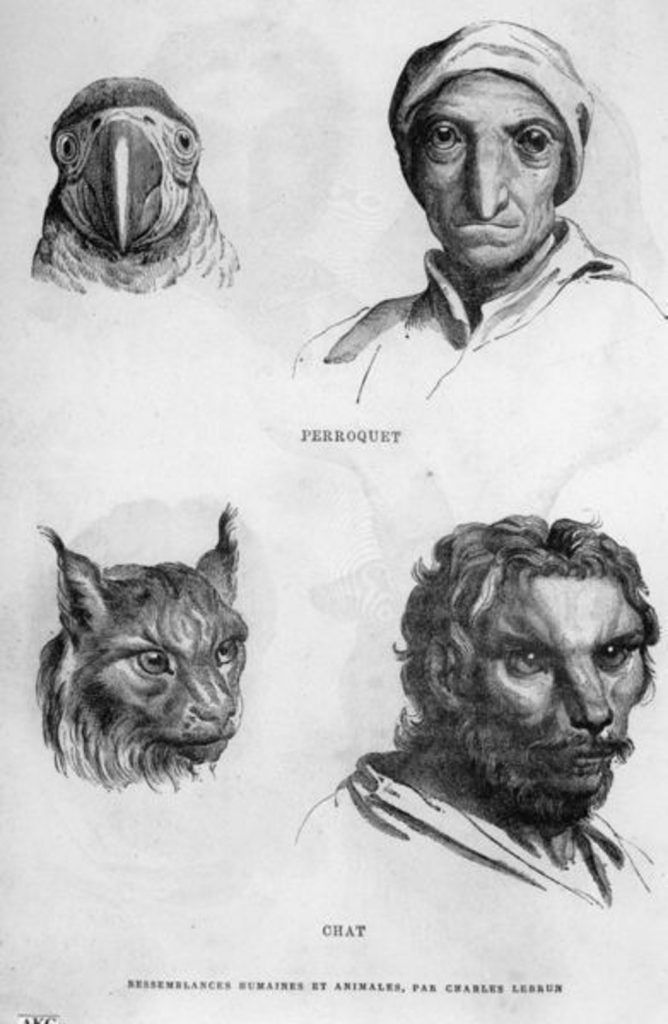 Voici à quoi ressembleraient les humains s'ils avaient évolué à partir ...