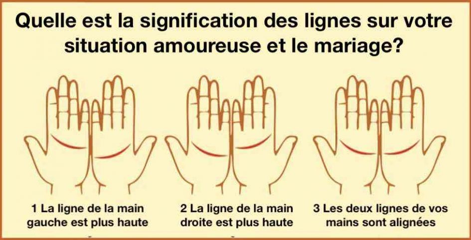Selon la chiromancie, voici la signification des deux lignes qui s ...