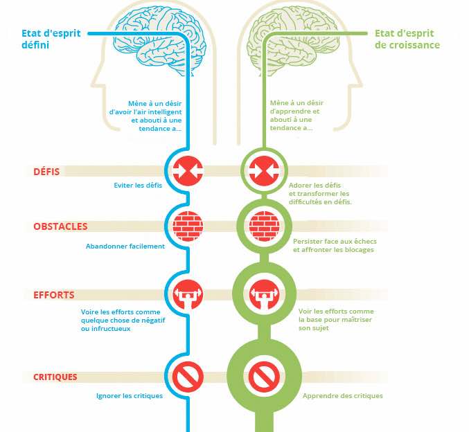 Les deux états d'esprit de base selon Carol Dweck: l'état d'esprit fixe ...