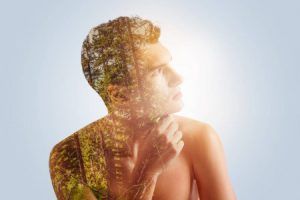 Les 5 cycles de l'évolution de l'âme