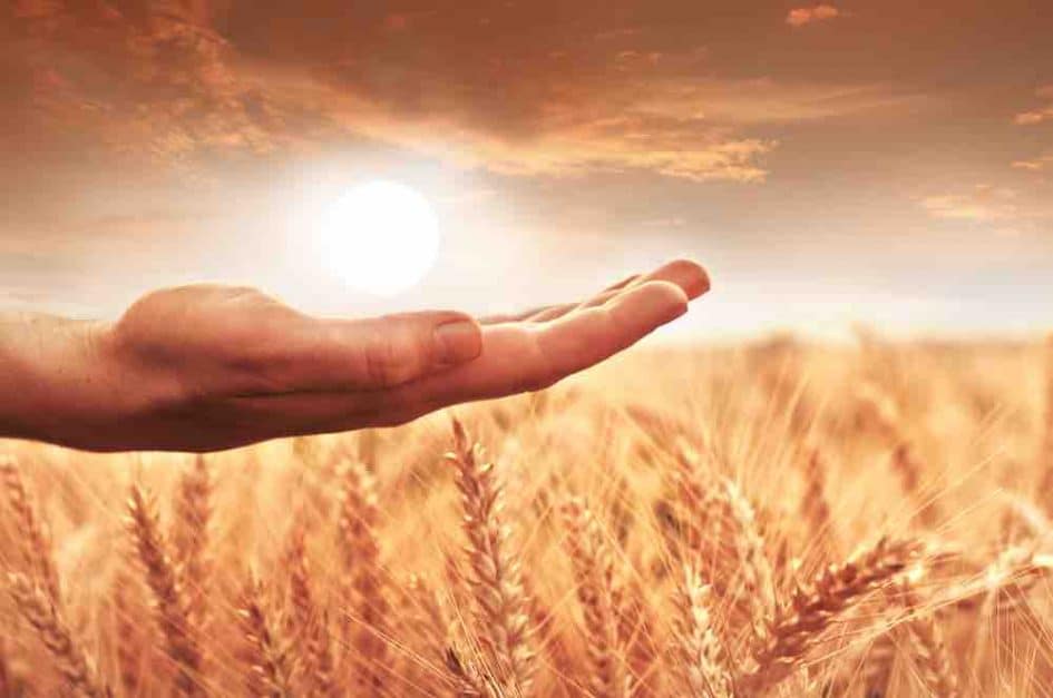 Peu importe ce qui vous arrive, soyez le plus possible reconnaissant ...