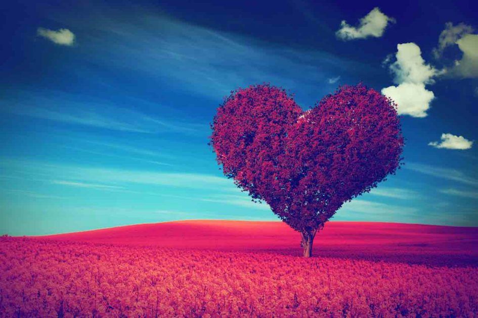 Voici comment vous pouvez commencer à «penser» avec votre cœur