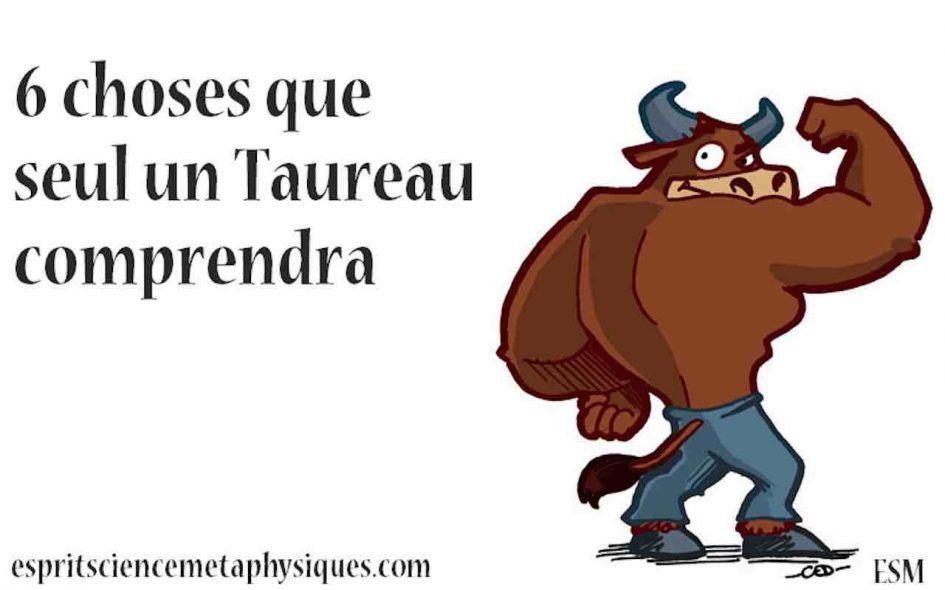6 choses que seul un Taureau comprendra