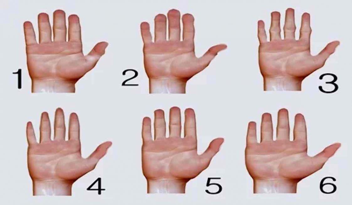 Test de personnalité : Découvrez ce que la forme de vos mains et vos ...