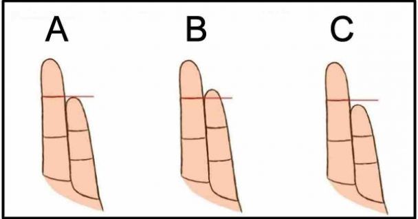 Test de personnalité : Découvrez ce que la forme de vos mains et vos ...