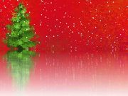 Test de Noël : Choisissez un sapin de Noël et découvrez un aspect caché ...