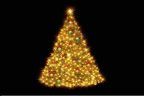 Test de Noël : Choisissez un sapin de Noël et découvrez un aspect caché ...