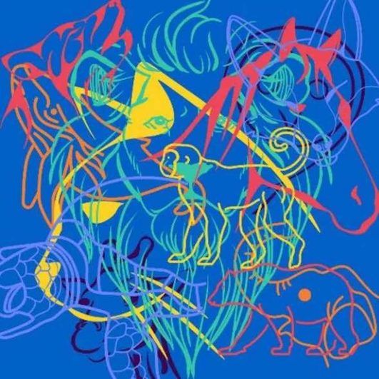 Cette illusion d'optique cache 12 animaux : le premier que vous verrez ...