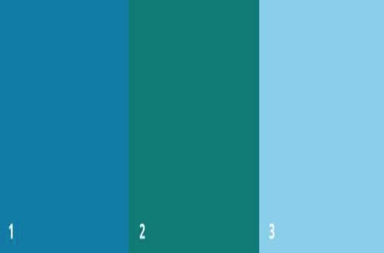 Voyez-vous du vert ou du bleu ? La couleur que vous voyez dépend de la ...