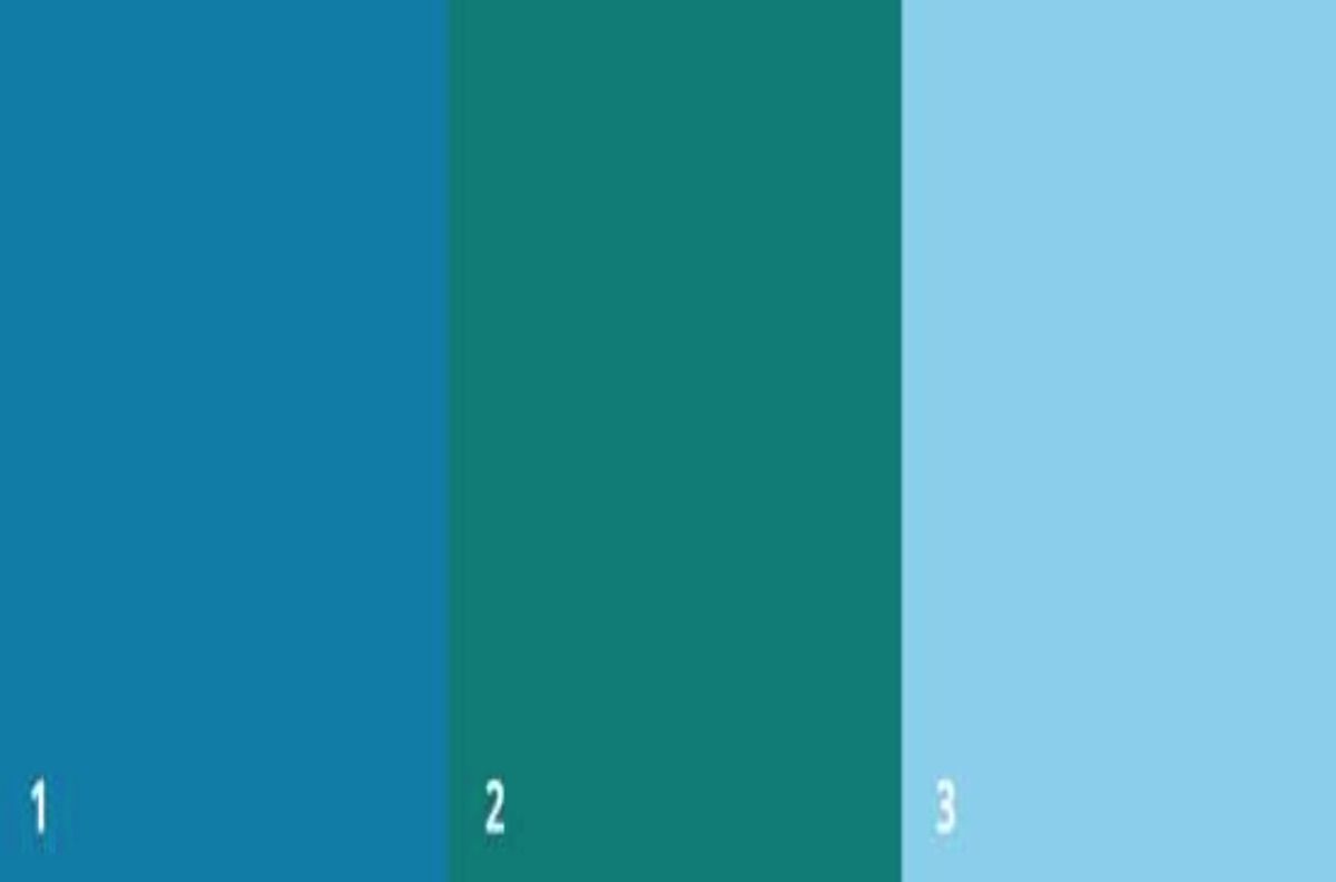 Voyez-vous du vert ou du bleu ? La couleur que vous voyez dépend de la ...