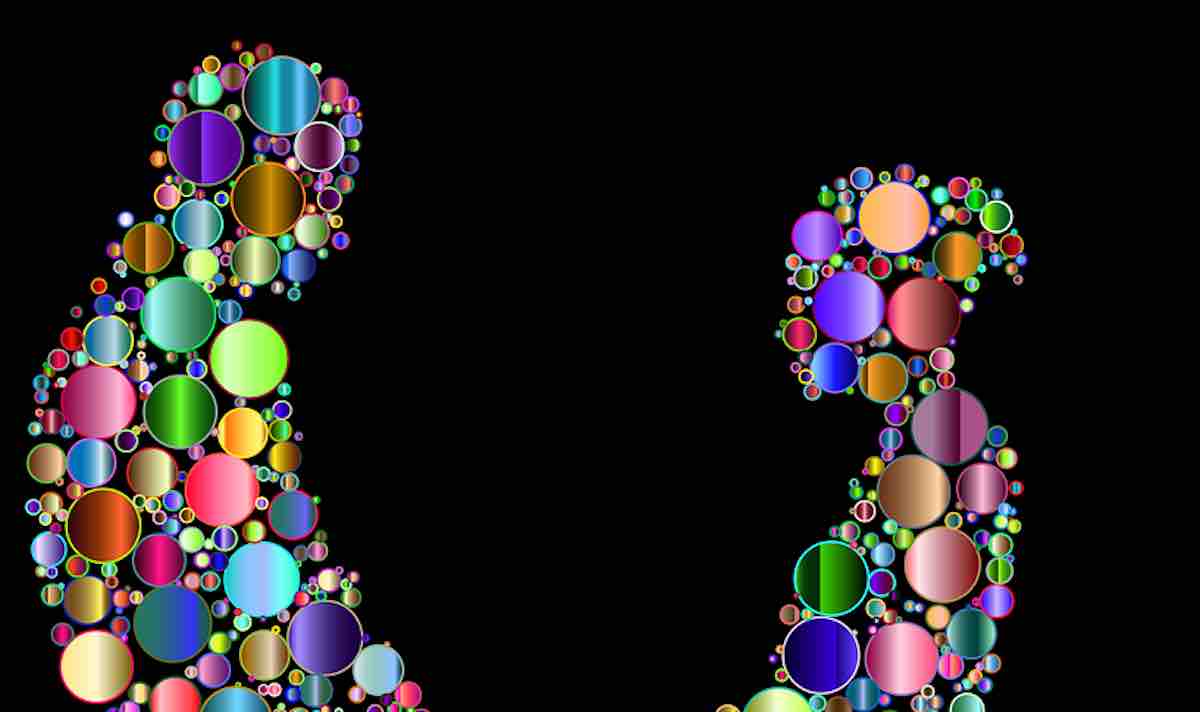 13 étapes qu'un empathe et un narcissique traversent ensemble dans une ...