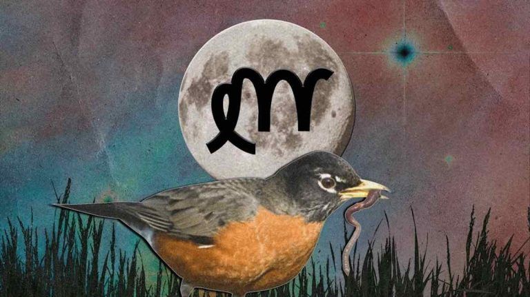 La Pleine Lune des Vers : la Pleine Lune de Mars 2023 en Vierge