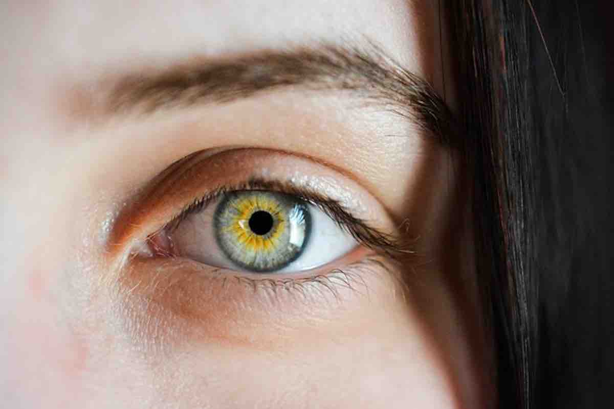 Que révèlent vos traits du visage sur votre personnalité