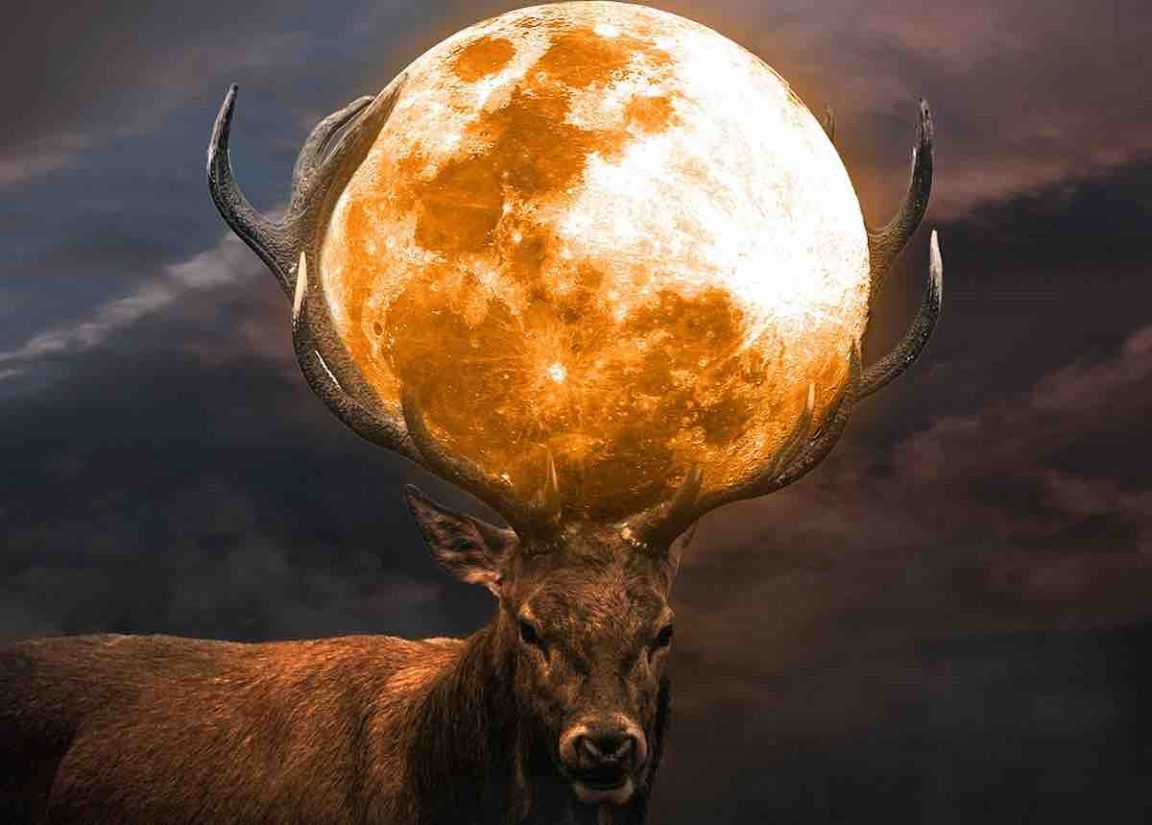 Découvrez la signification spirituelle de la pleine Lune du Castor de ...